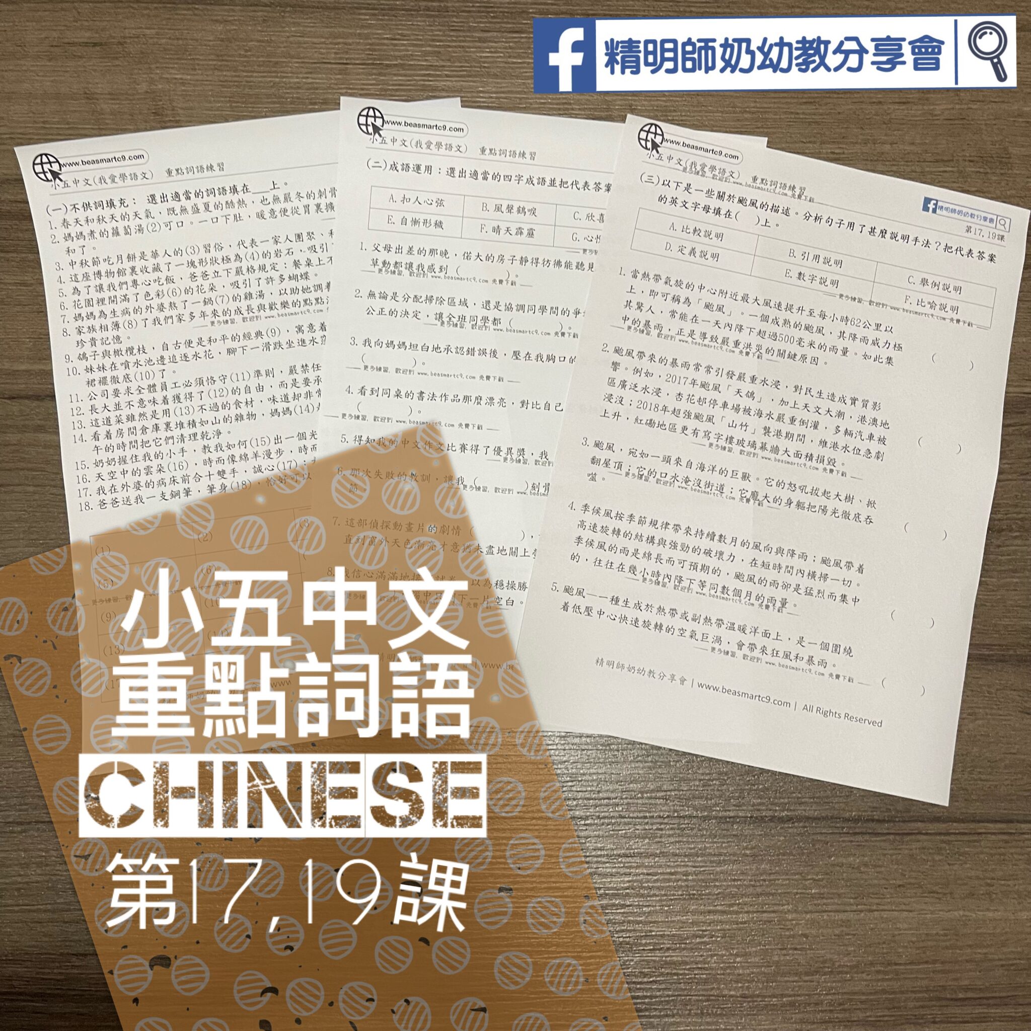 P5 中文重點詞語 (第17,19課) 我愛學語文 - 精明師奶幼教分享會